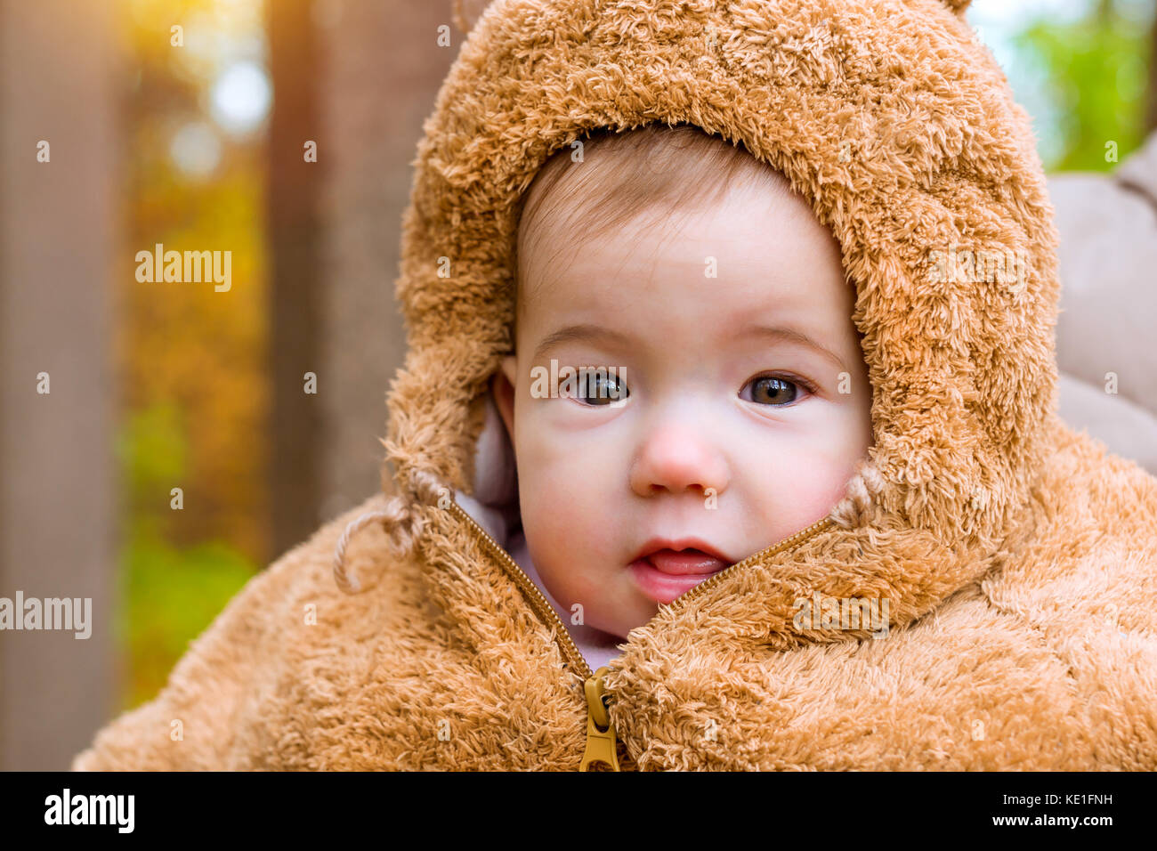 Baby posing on background of autumn Park. Child dressed in warm ...