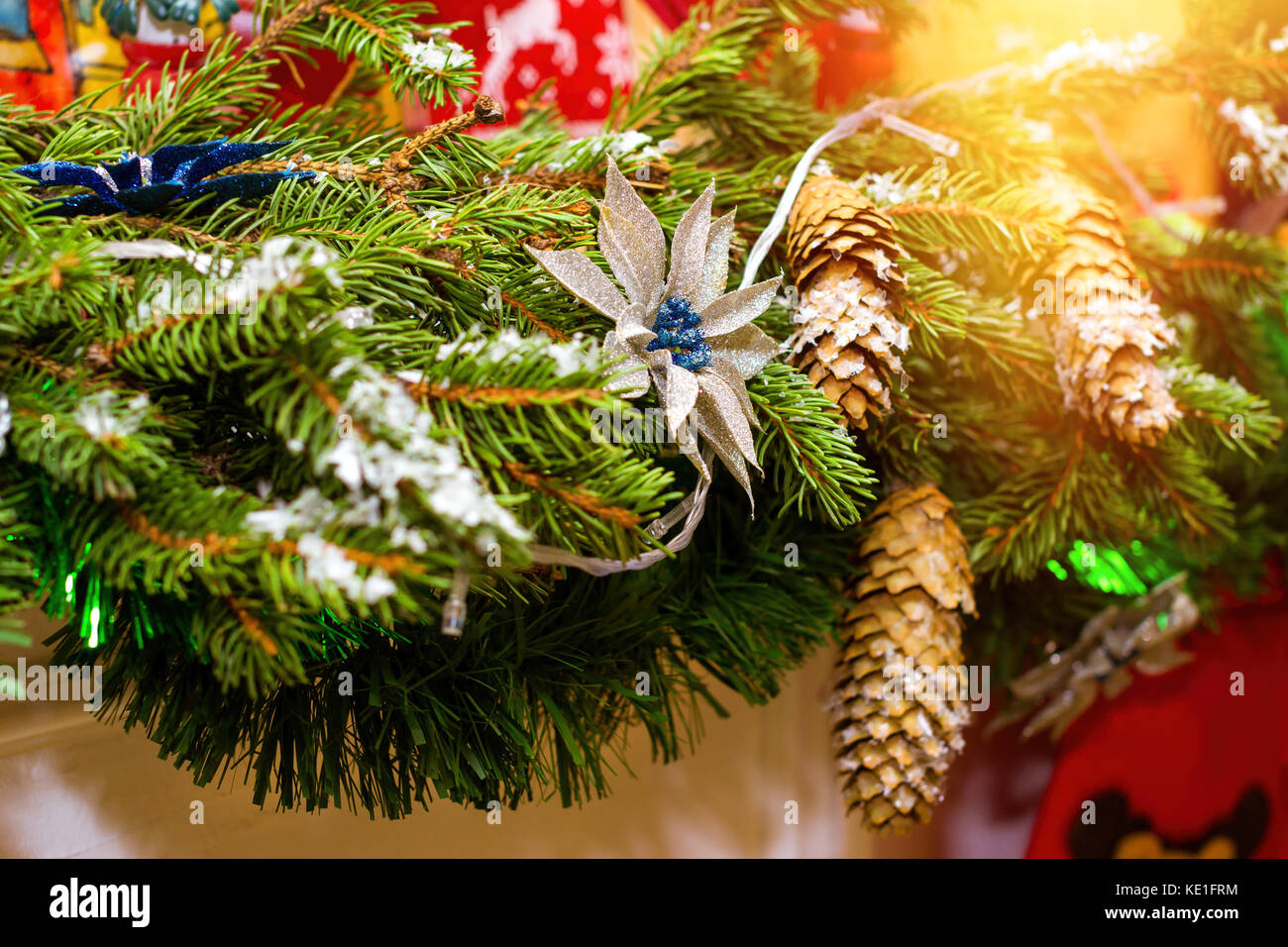 Christmas spruce branches with cones and festive decorations ...