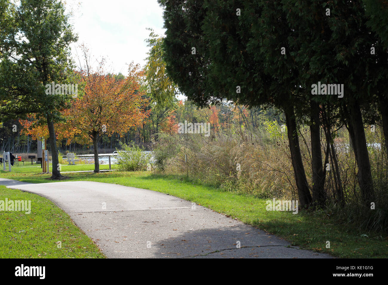 An autumn walk with fall colors in the woods Stock Photo - Alamy