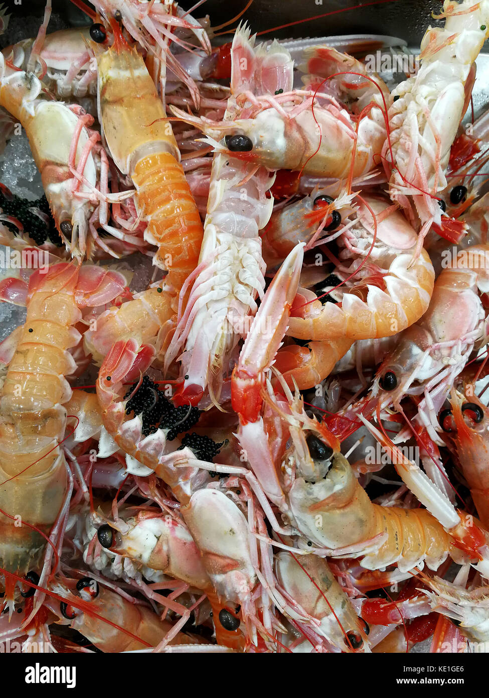 Fish Silage High Resolution Stock Photography and Images - Alamy