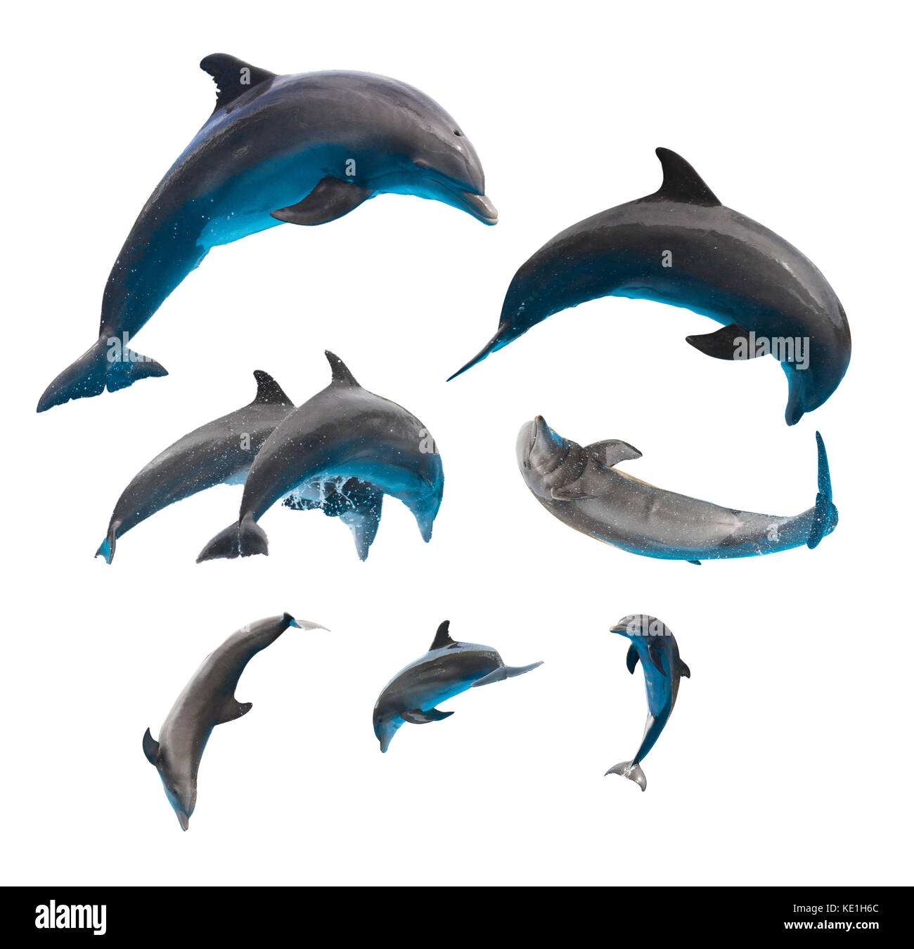 jumping dolphins on white Stock Photo - Alamy