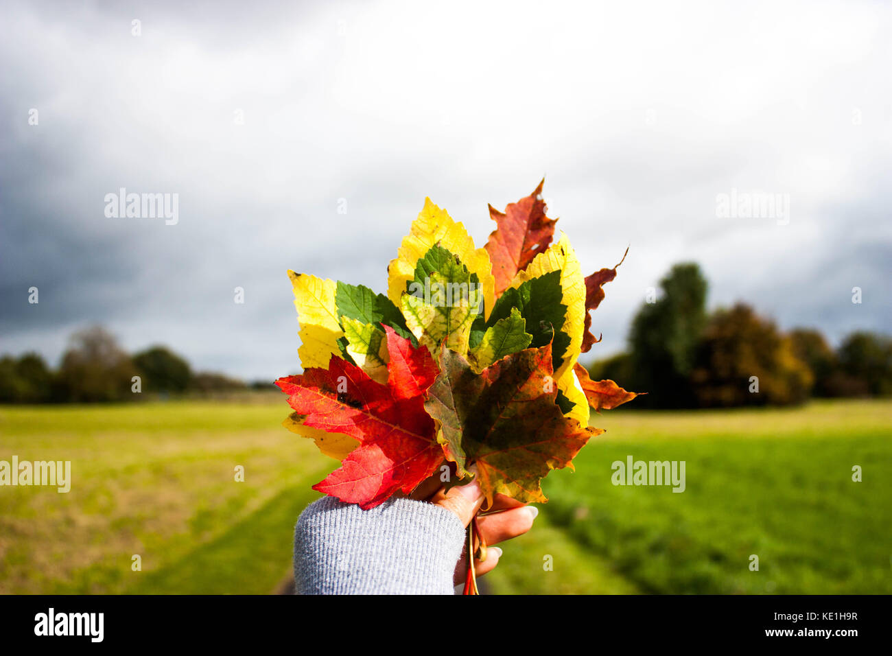 Autumn in hand Stock Photo - Alamy
