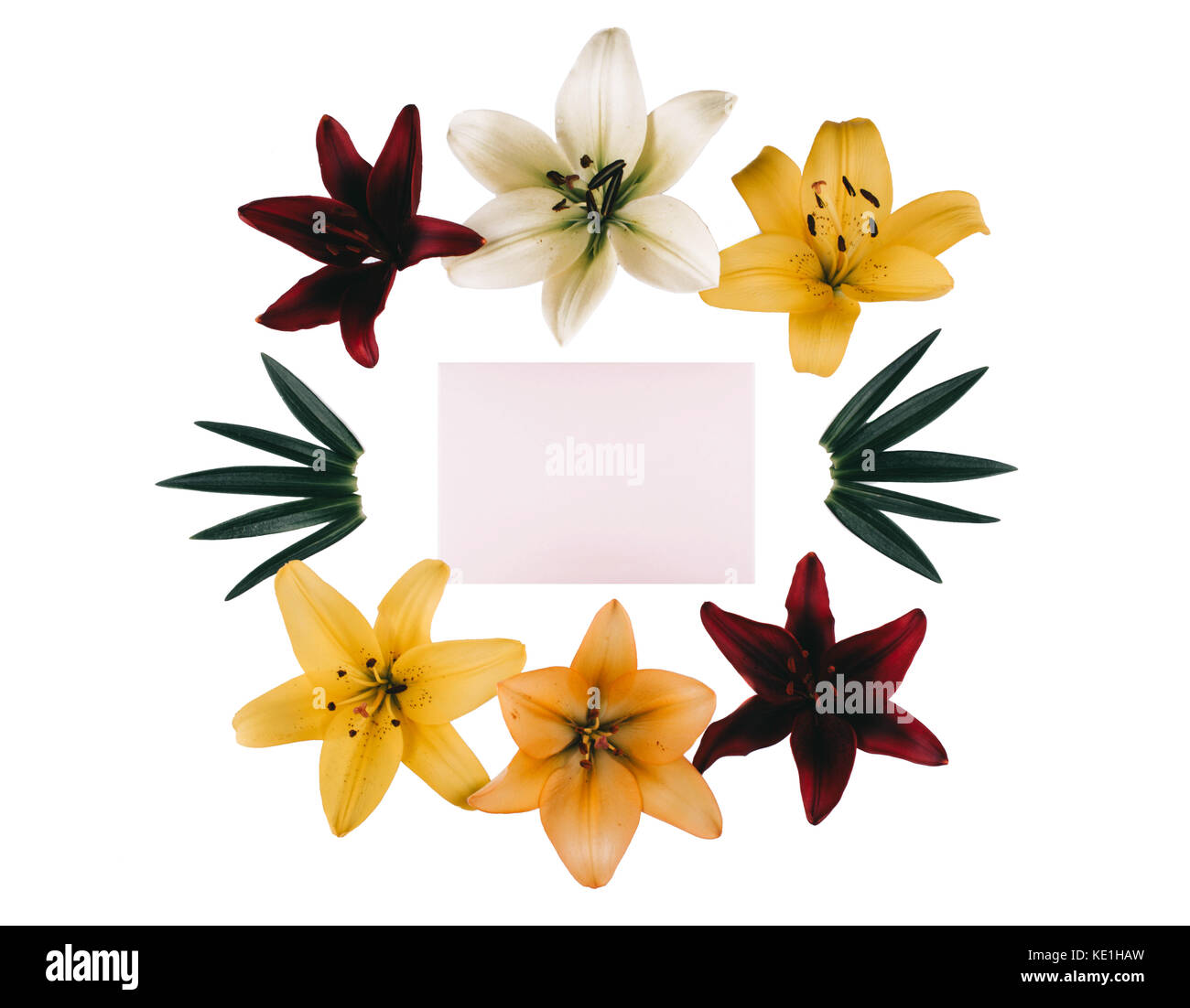 Beautiful lilies with leaves isolated on white background. Top view ...