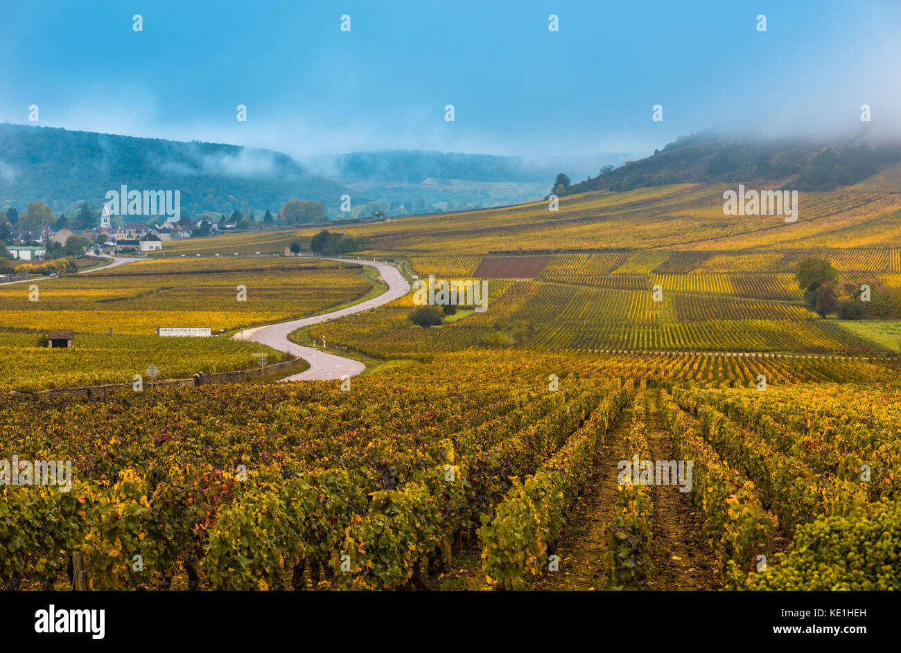 Bourgogne Vineyard High Resolution Stock Photography and Images - Alamy