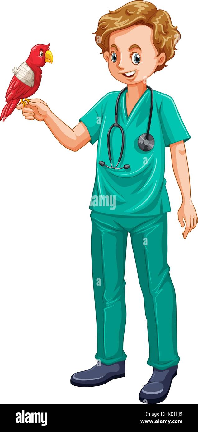 Vet and parrot pet illustration Stock Vector Image & Art - Alamy