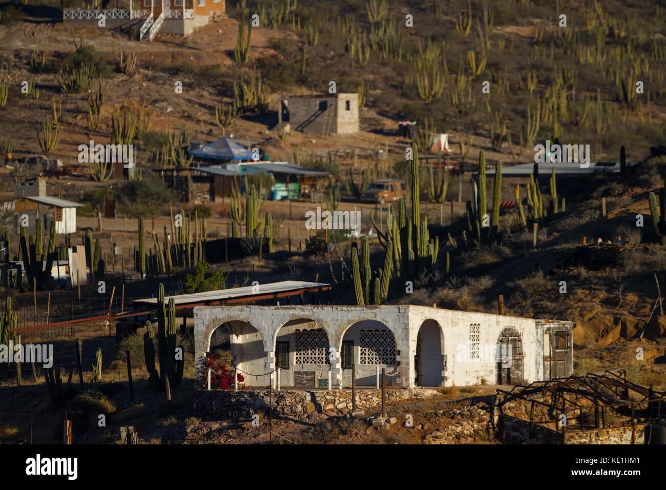 The Coloraro , a beach in the Sonoran Desert which is characterized by ...