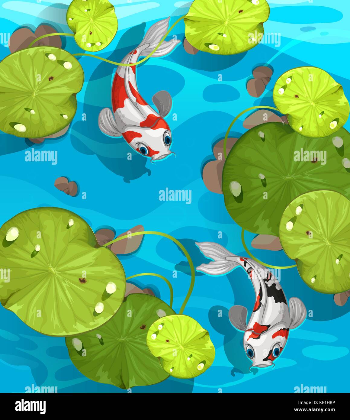 Two fish swimming in the pond illustration Stock Vector Image & Art - Alamy