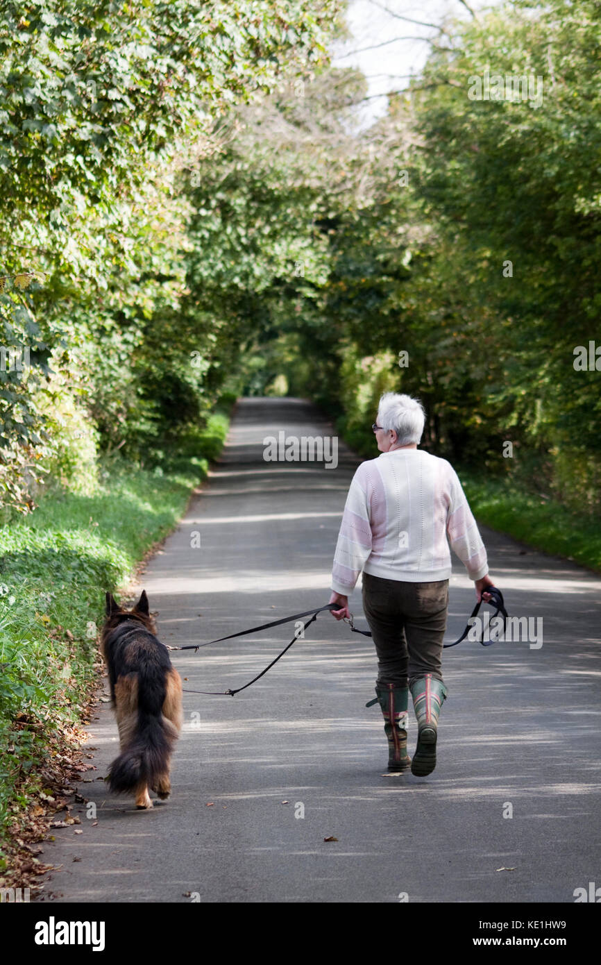 German shepard walking hi-res stock photography and images - Alamy