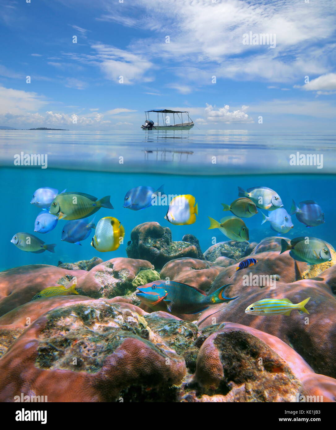 Fish boat ocean hi-res stock photography and images - Alamy