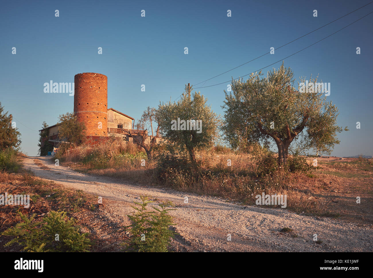 Rural landscape, old farmhouse with olive trees, Italy Stock Photo - Alamy