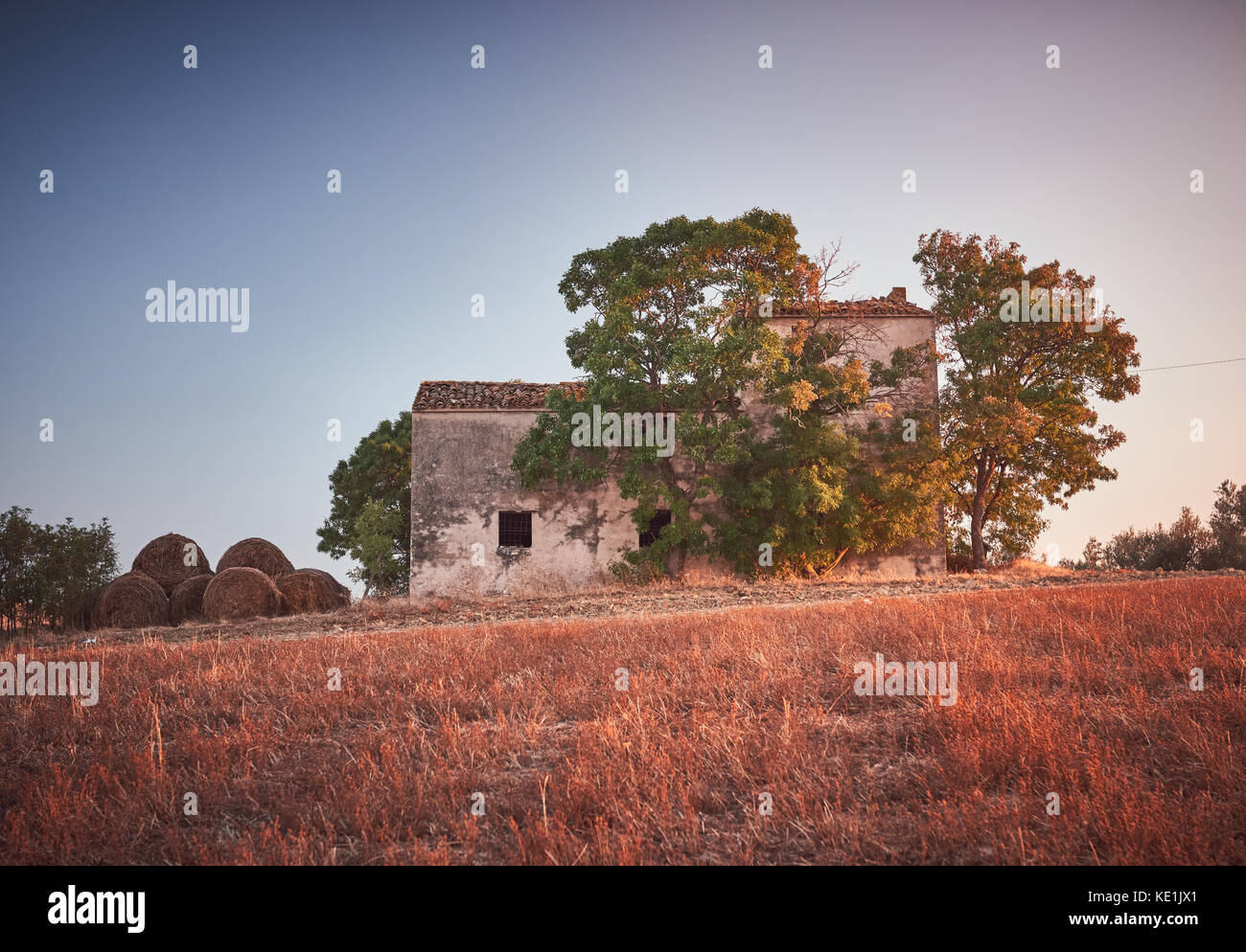 Rural landscape, old farmhouse with olive trees, Italy Stock Photo - Alamy