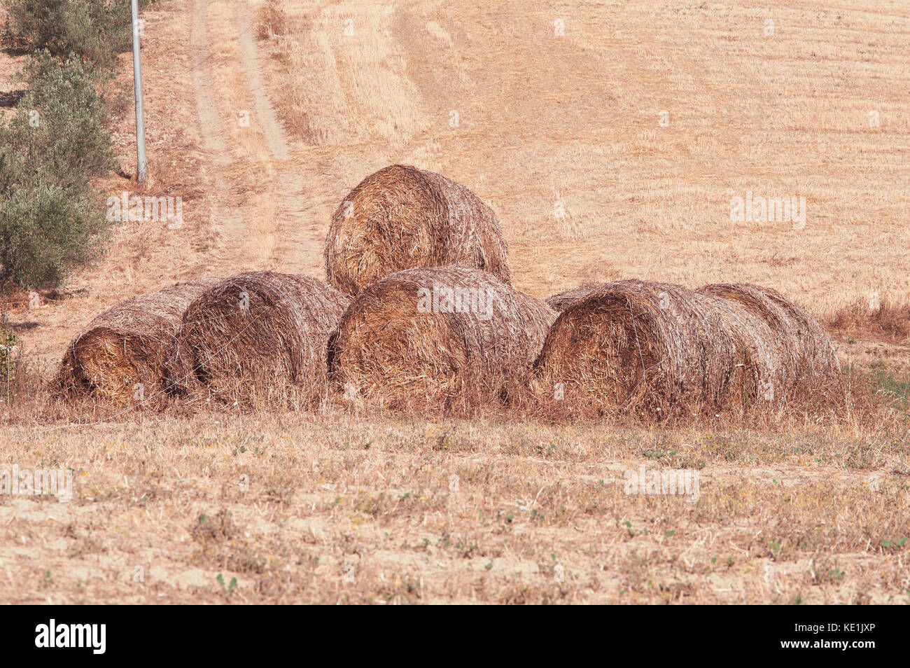 Rustic stable interior hi-res stock photography and images - Alamy
