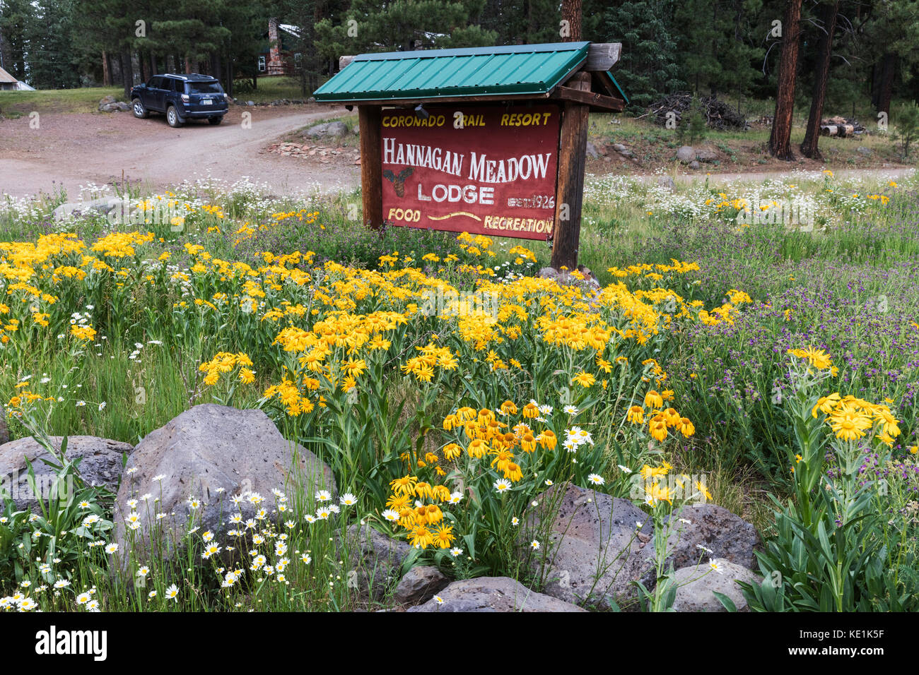 Hannagan meadow hi-res stock photography and images - Alamy