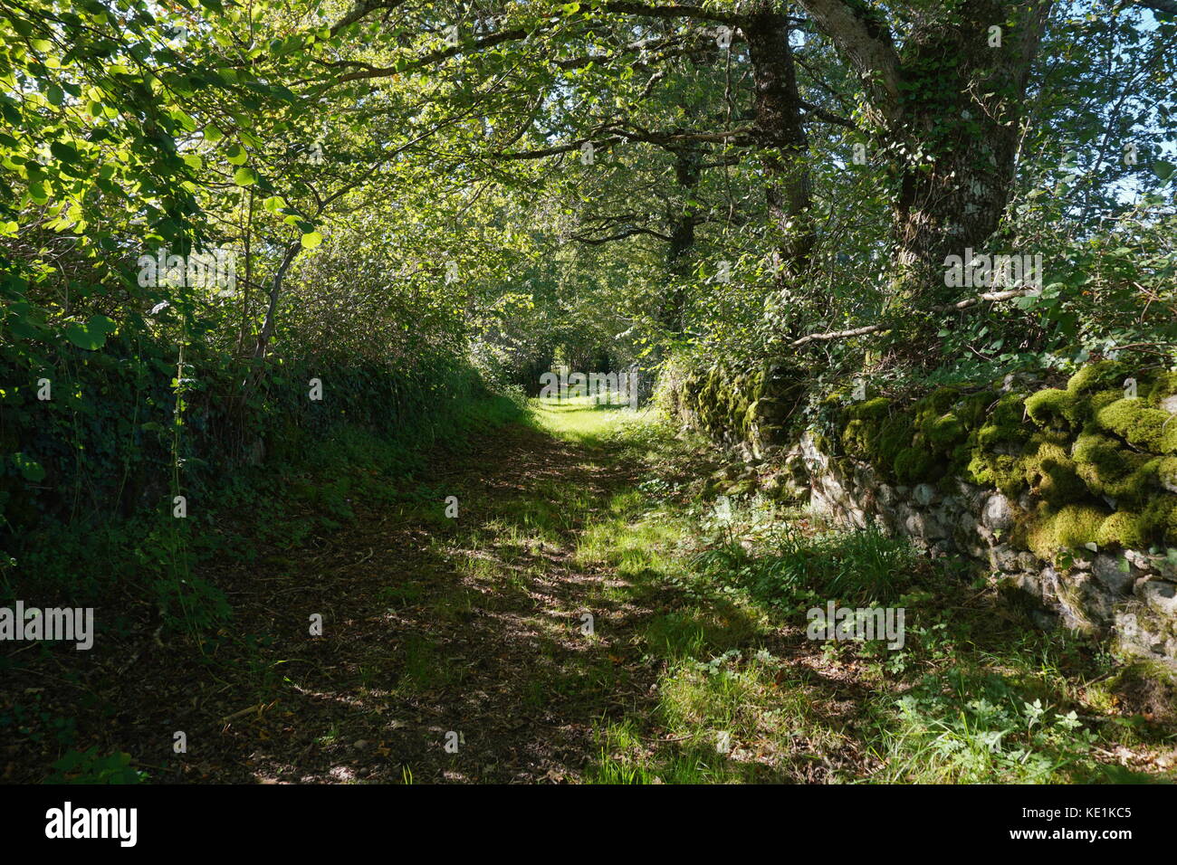 France rural footpath shaded by tree foliage and lined by old stone ...