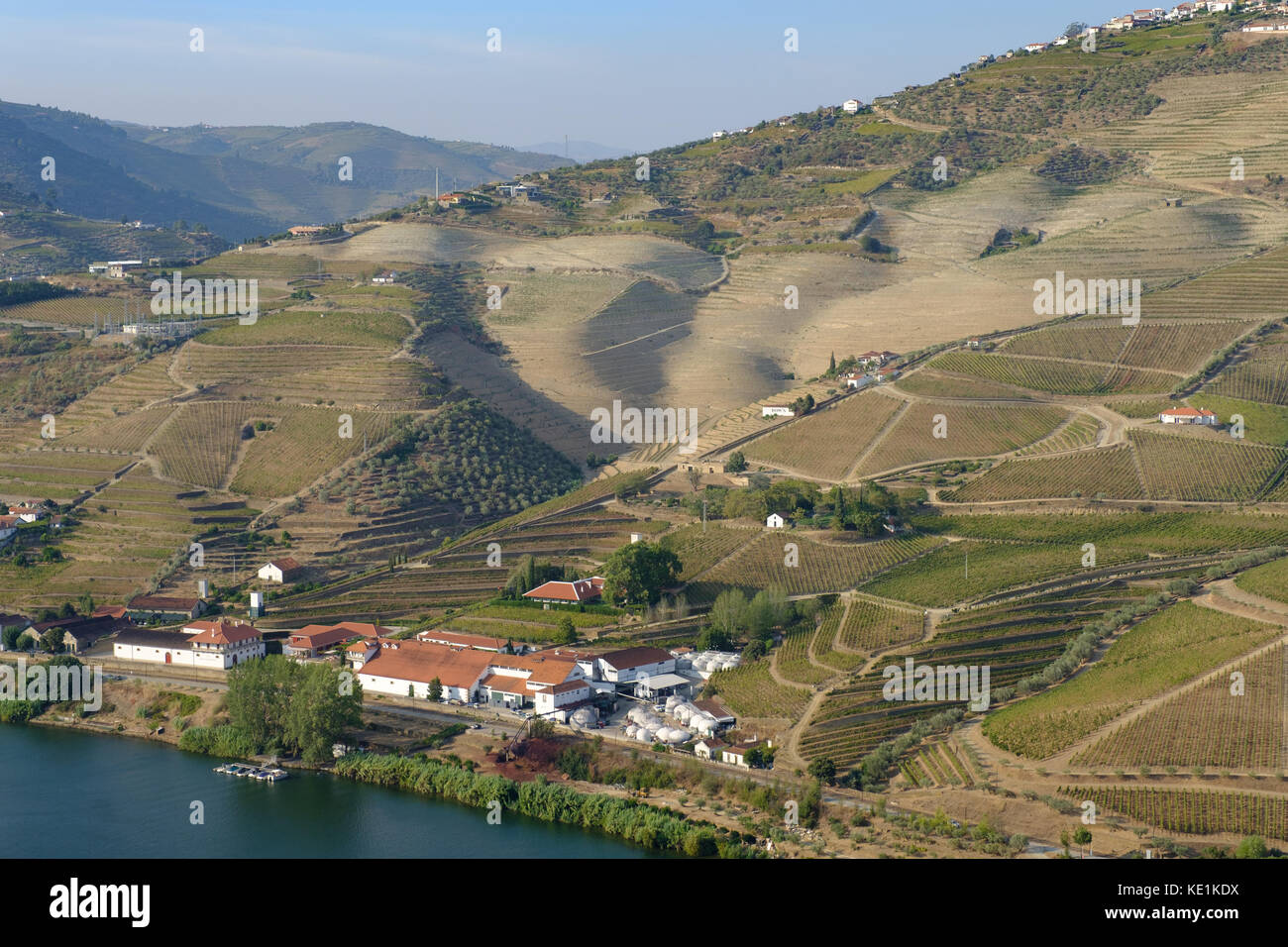 Vineyards in the Douro Valley of Portugal Stock Photo - Alamy