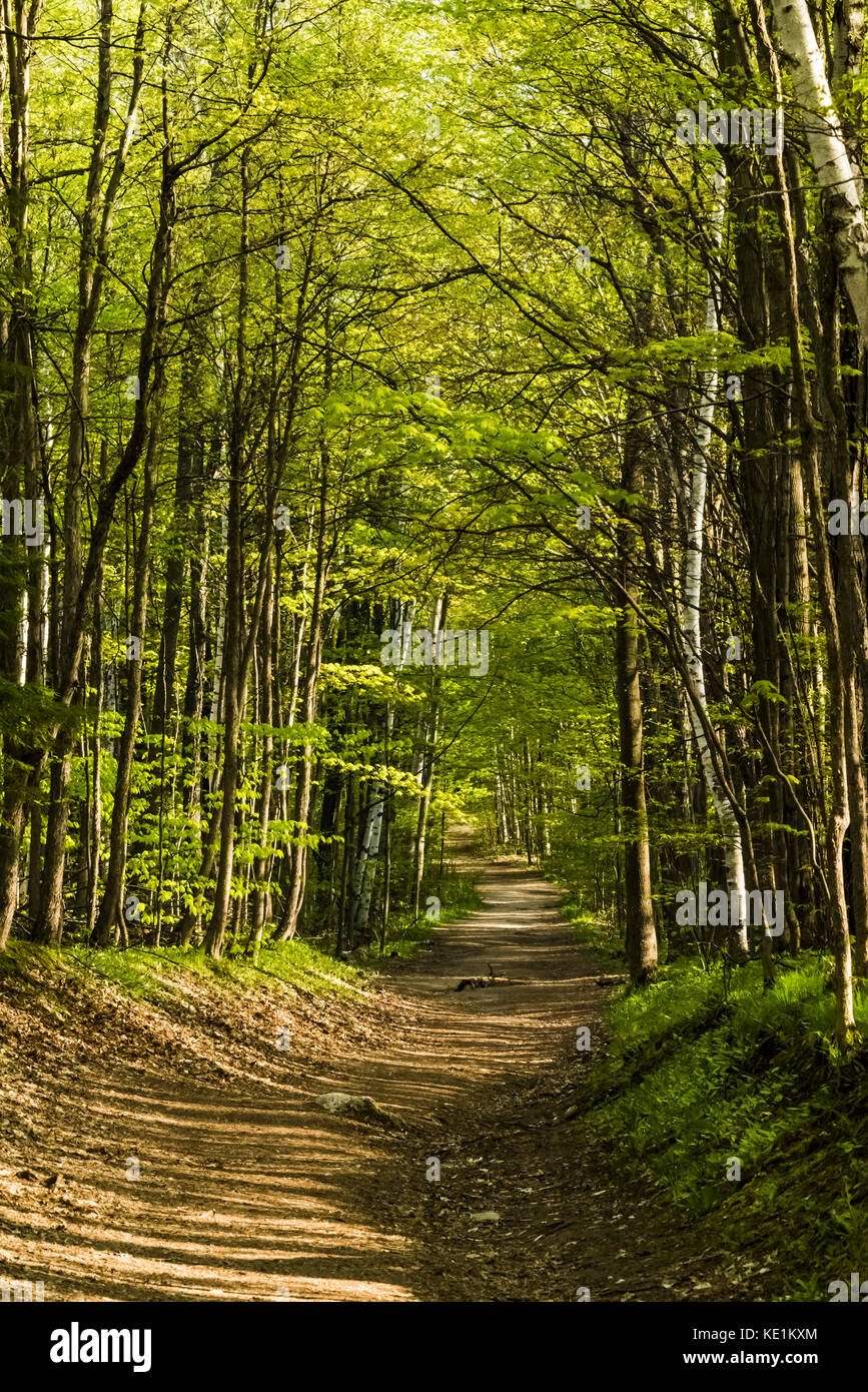 Trail, Mono Cliffs Provincial Park, near Orangeville, Ontario, Canada ...