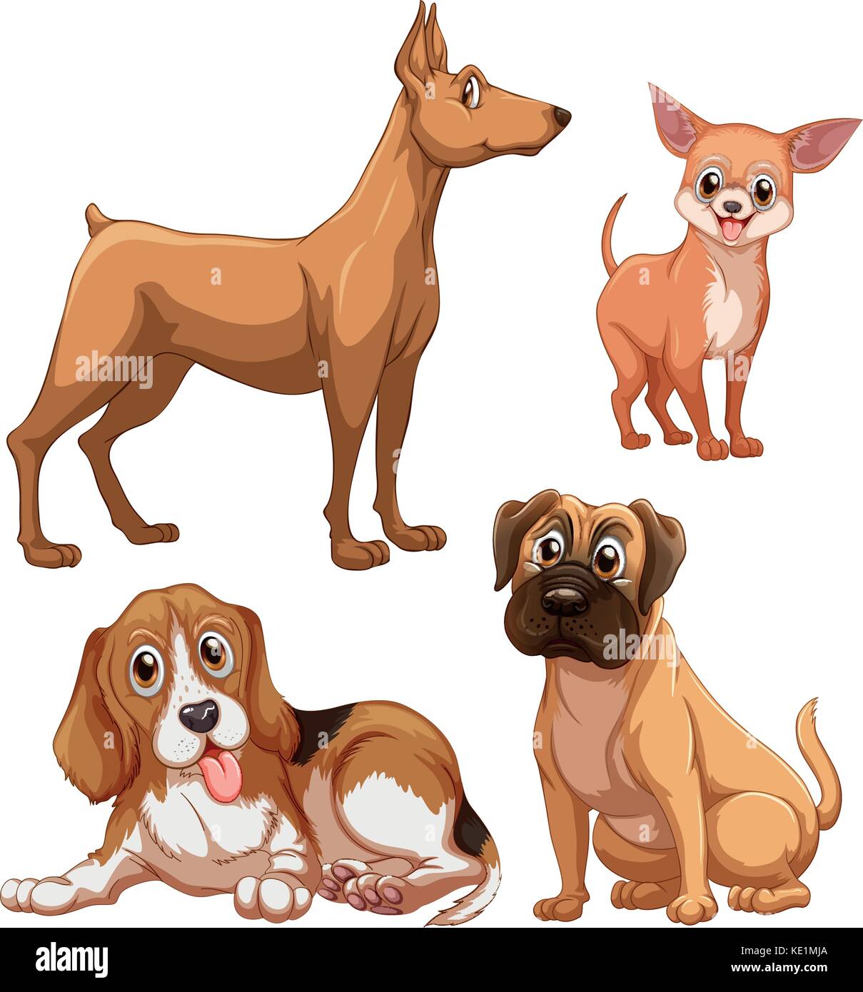 Best looking dog Stock Vector Images - Alamy