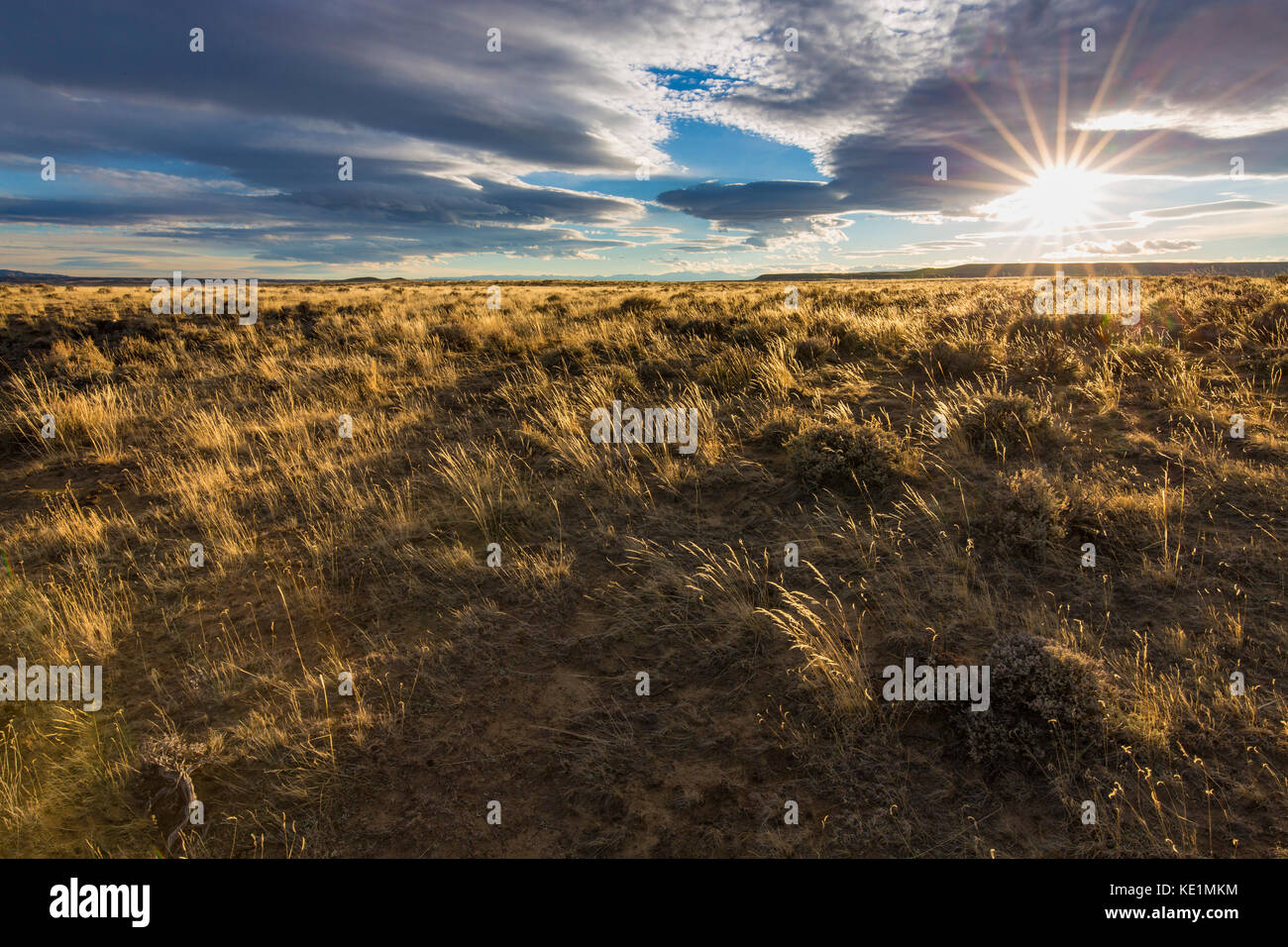 Sagebrush steppe and grasslands in the Bighorn Basin of Wyoming Stock ...