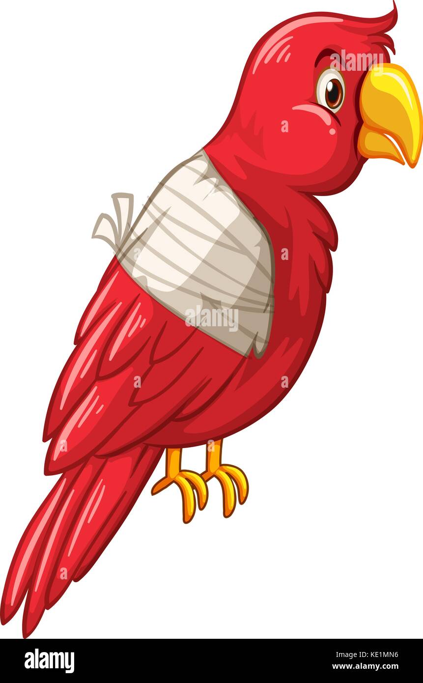 Drawing sick bird hi-res stock photography and images - Alamy