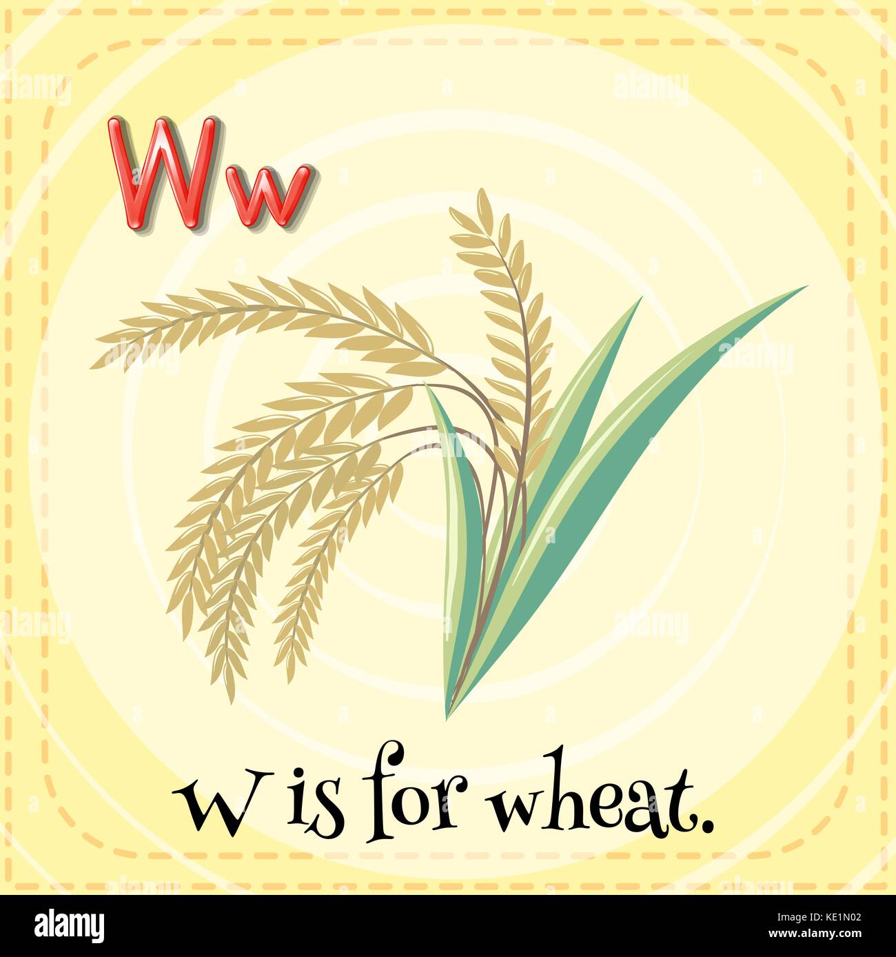 Flashcard of alphabet W is for wheat Stock Vector Image & Art - Alamy