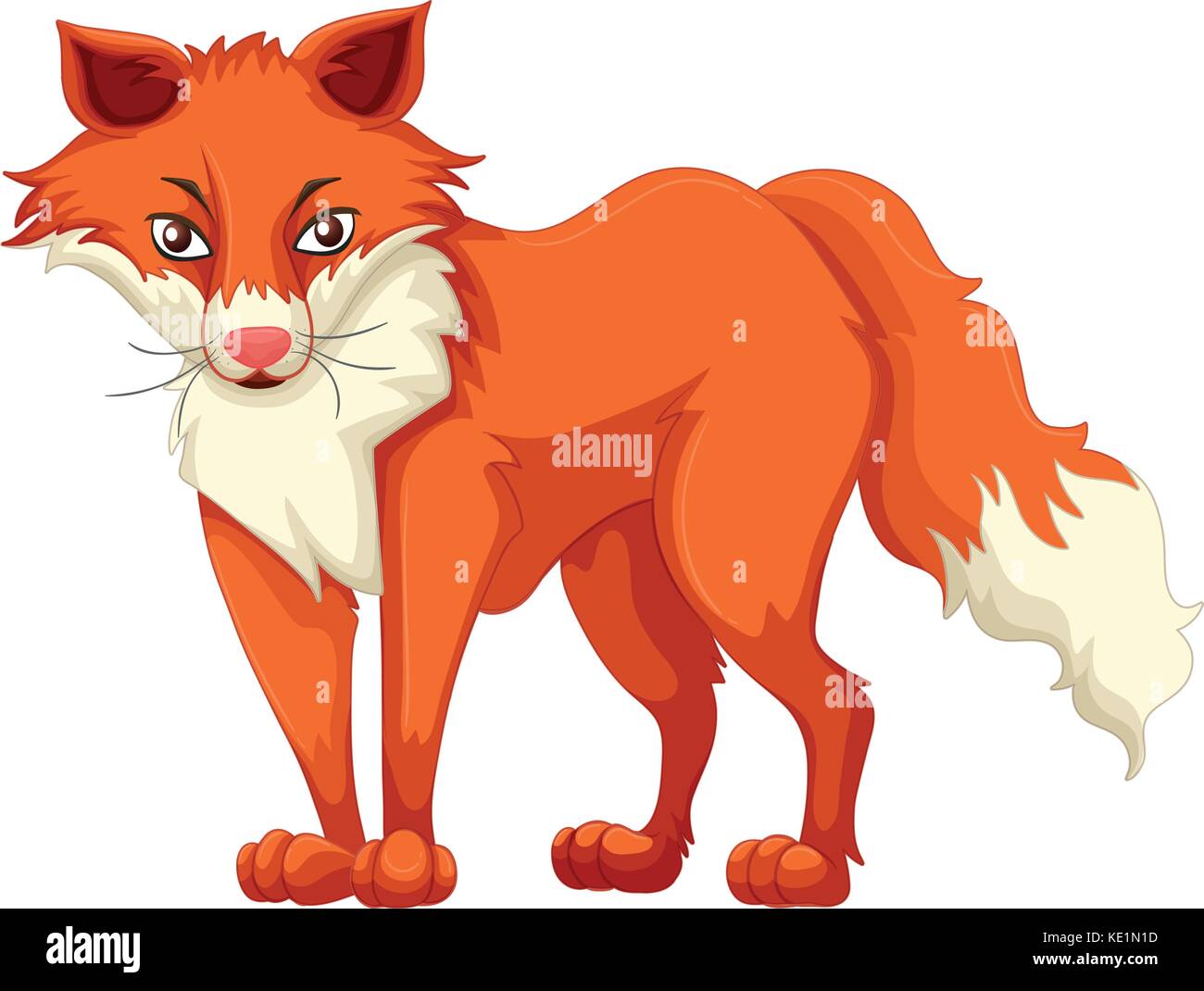 Red Fox Fur Image Stock Vector Images - Alamy