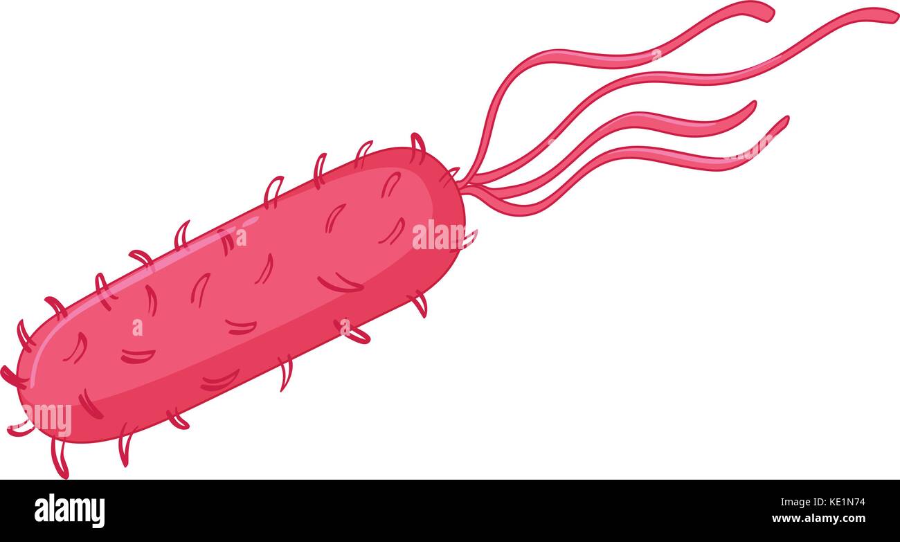 Bacteria in intestines in pink illustration Stock Vector Image & Art ...