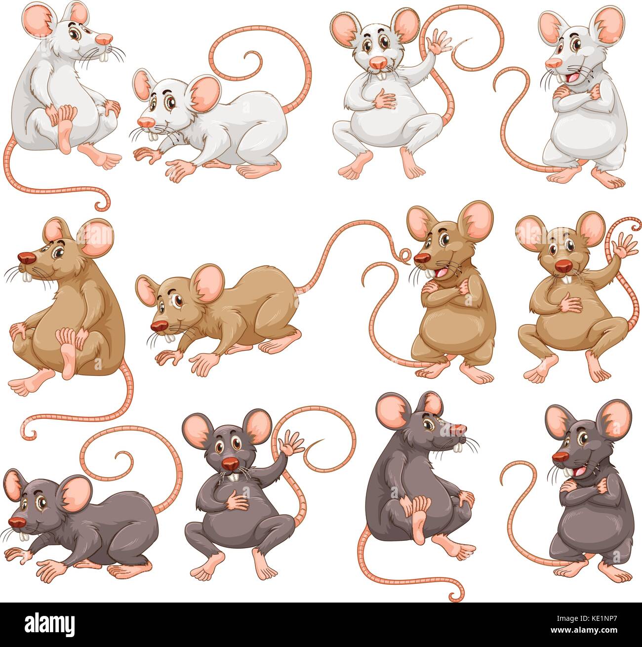 Mouse with different fur color illustration Stock Vector Image & Art ...