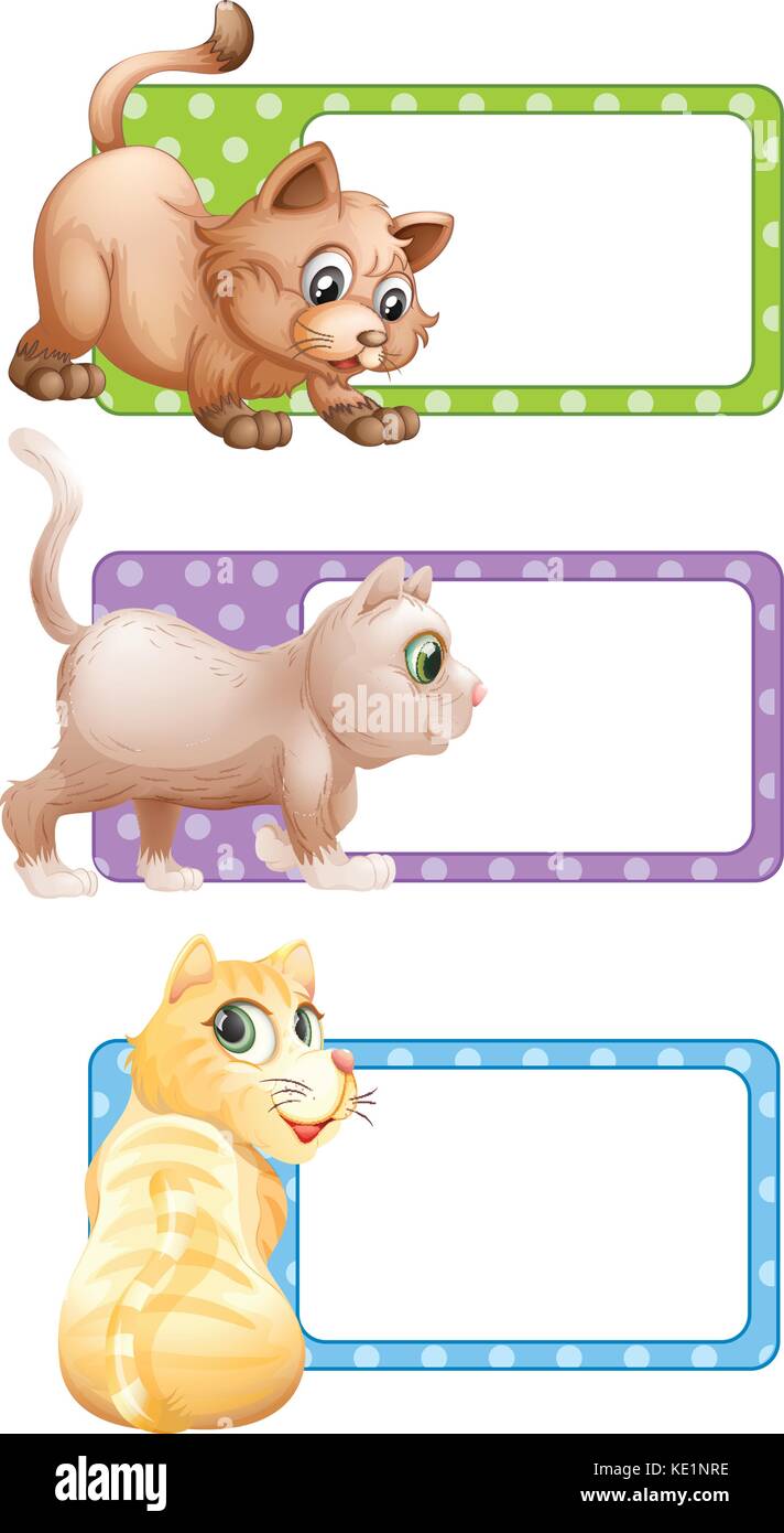 Square labels with cute cats illustration Stock Vector Image & Art - Alamy