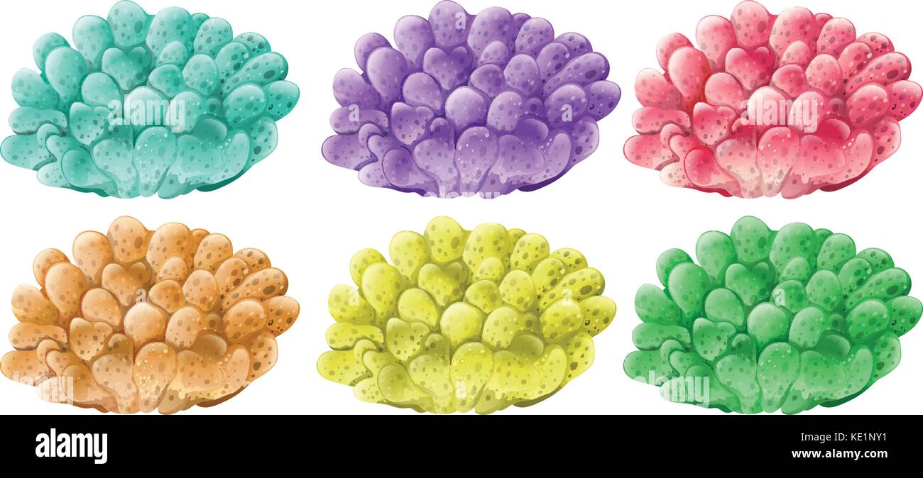 Colorful coral reef in Stock Vector Images - Alamy