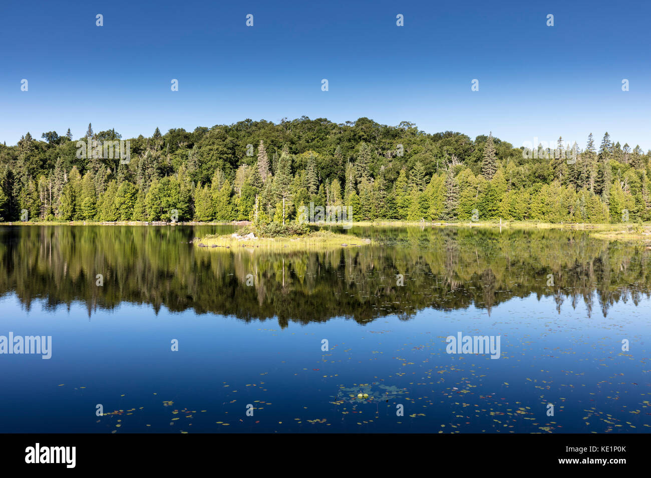 Mijin hi-res stock photography and images - Alamy