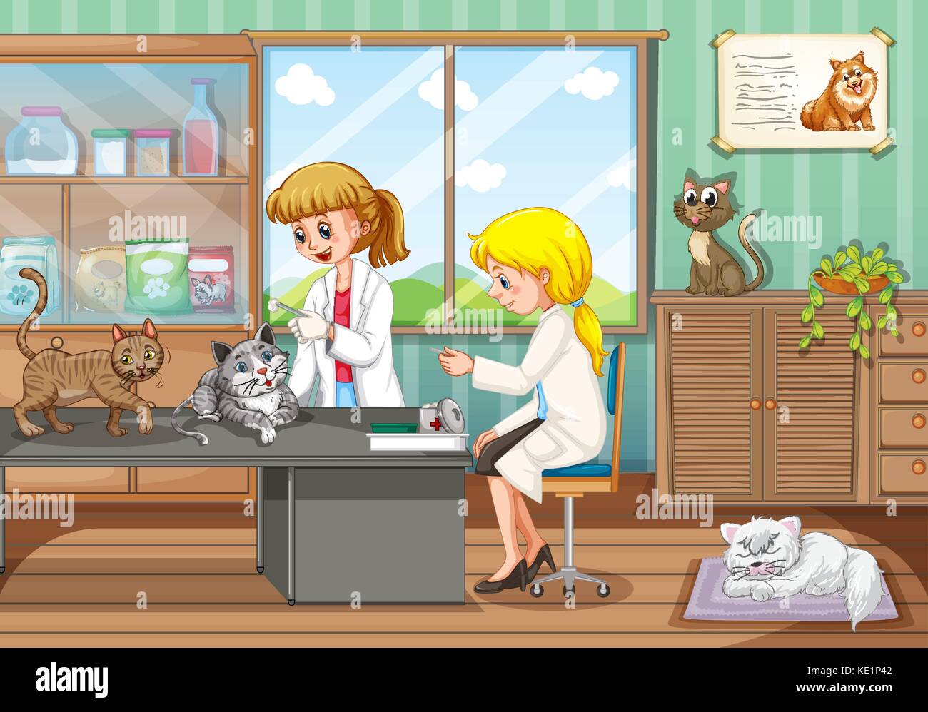 Two vets healing animals in the hospital illustration Stock Vector ...