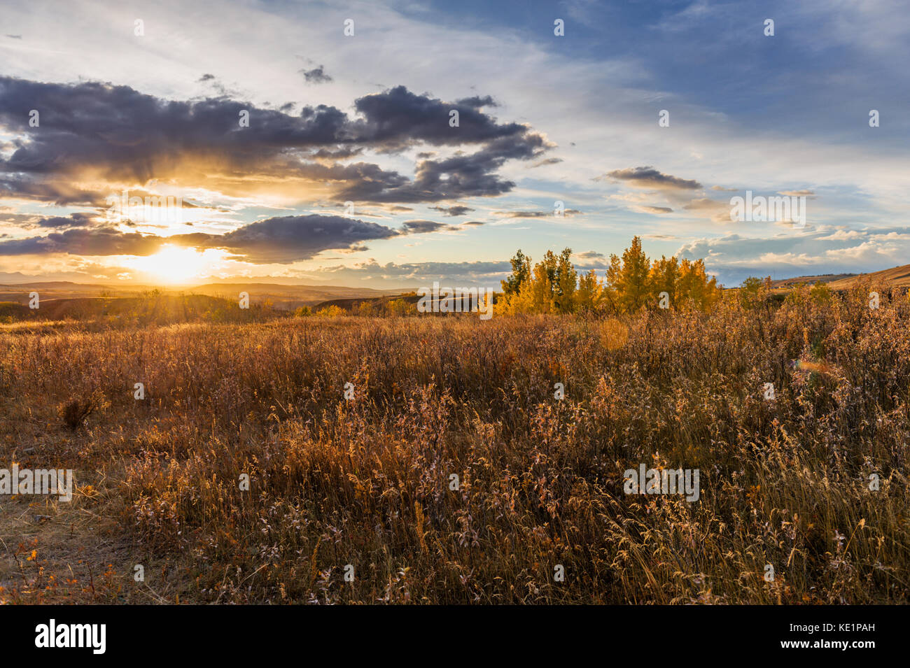 Glenbow Ranch Provincial Park Stock Photo - Alamy