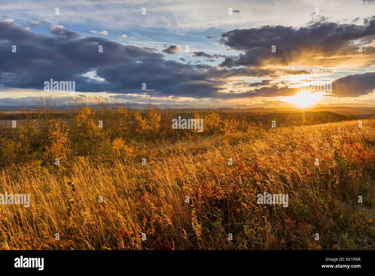 Glenbow Ranch Provincial Park Stock Photo - Alamy