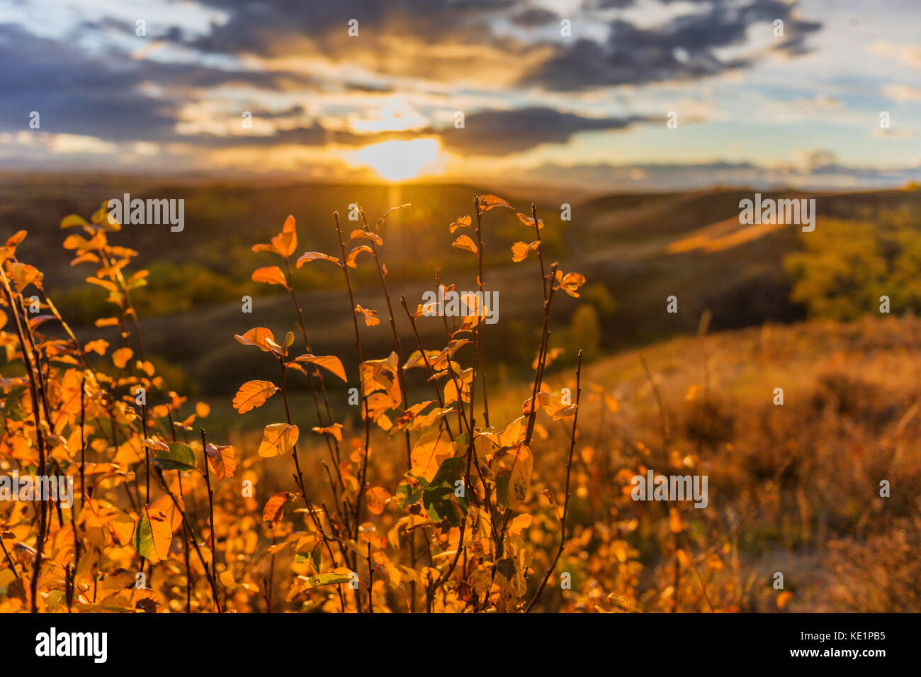 Glenbow Ranch Provincial Park Stock Photo - Alamy