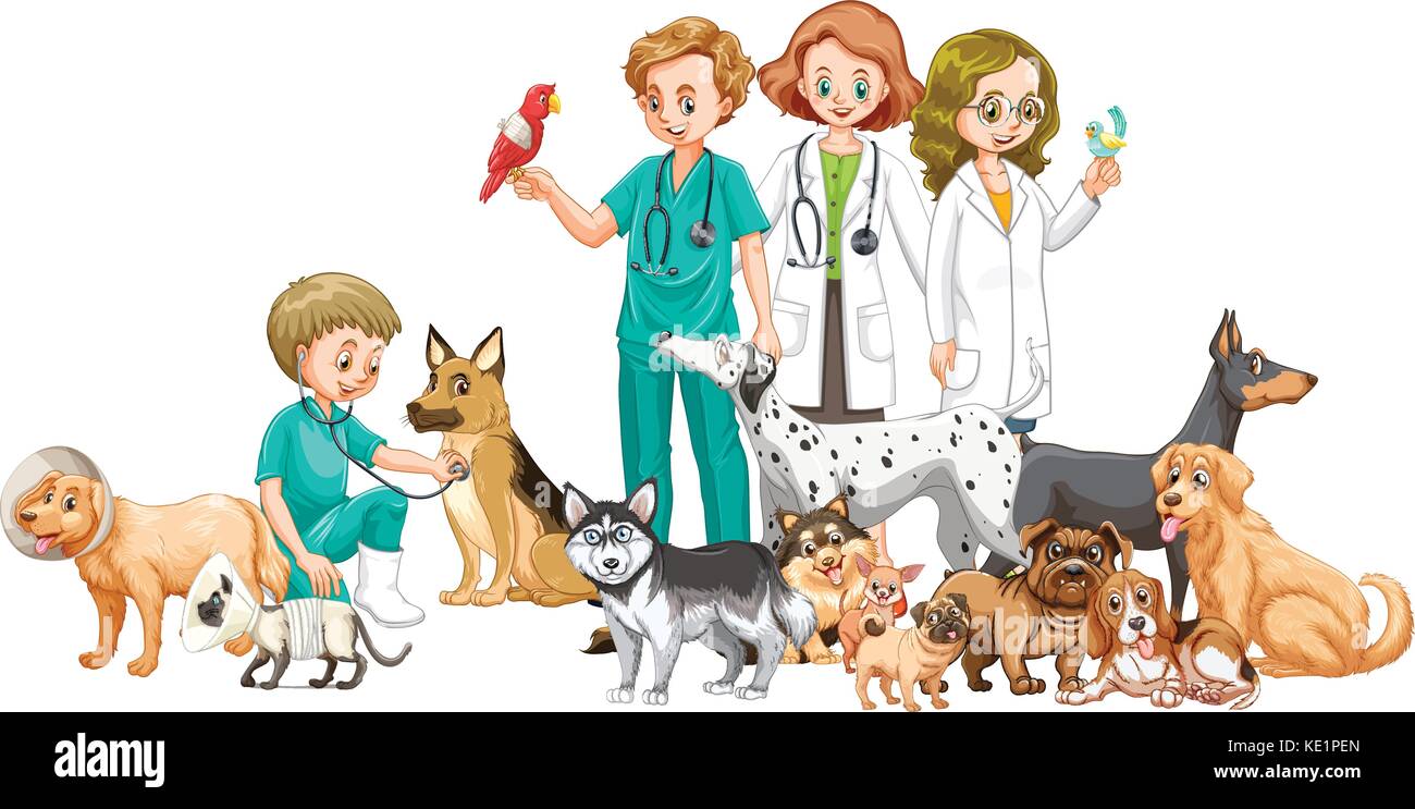 Vets and many animals illustration Stock Vector Image & Art - Alamy
