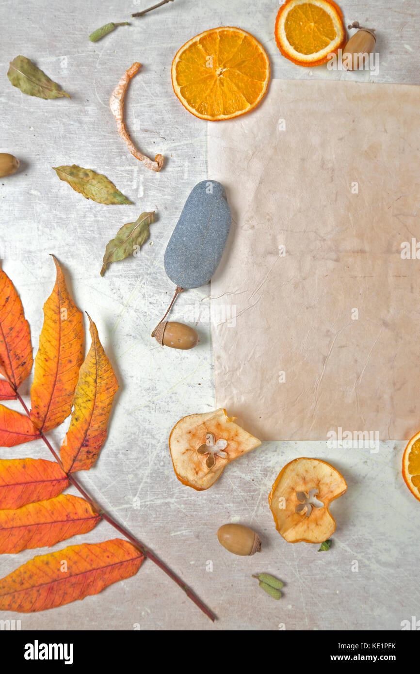 Autmnal Flat Lay Composition On White Rustic Background, Vertical Crop ...