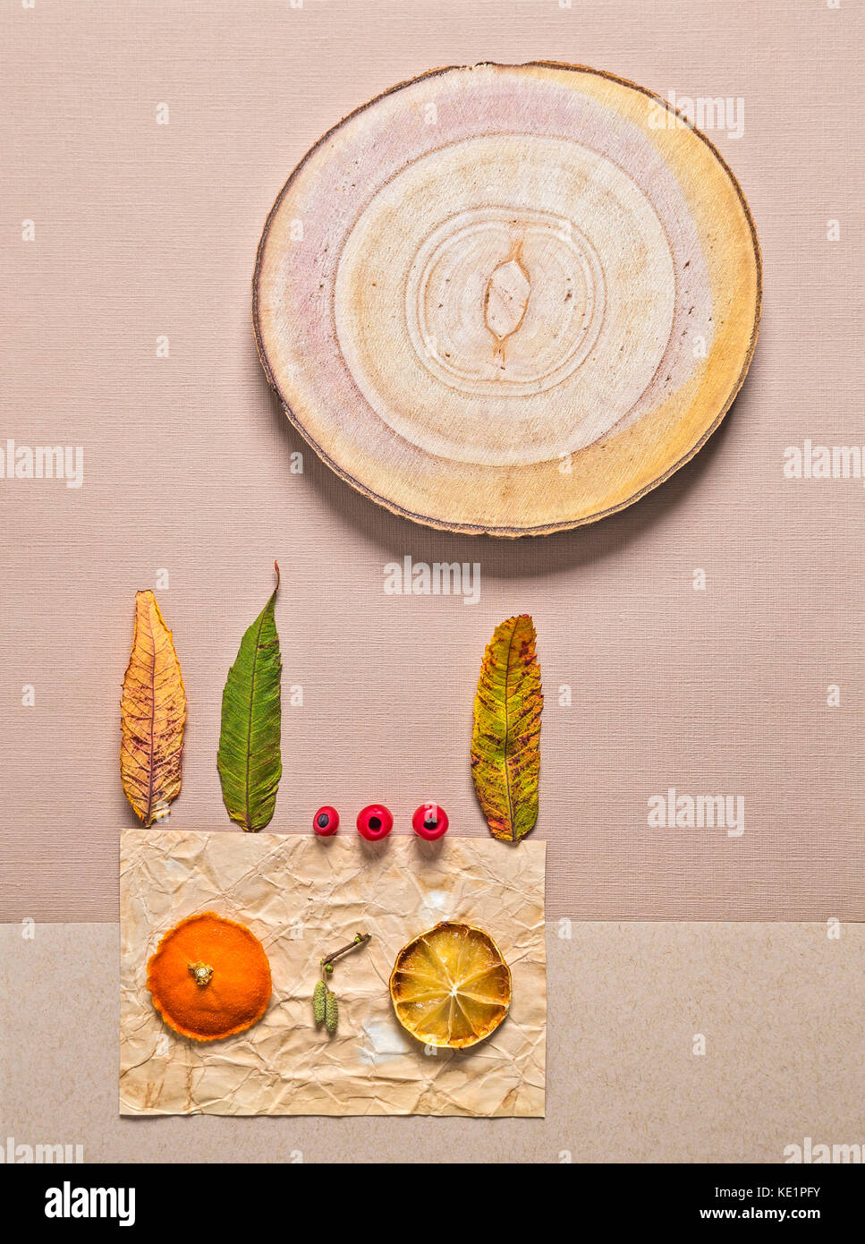 Paper Organic Abstract Composition Stock Photo - Alamy