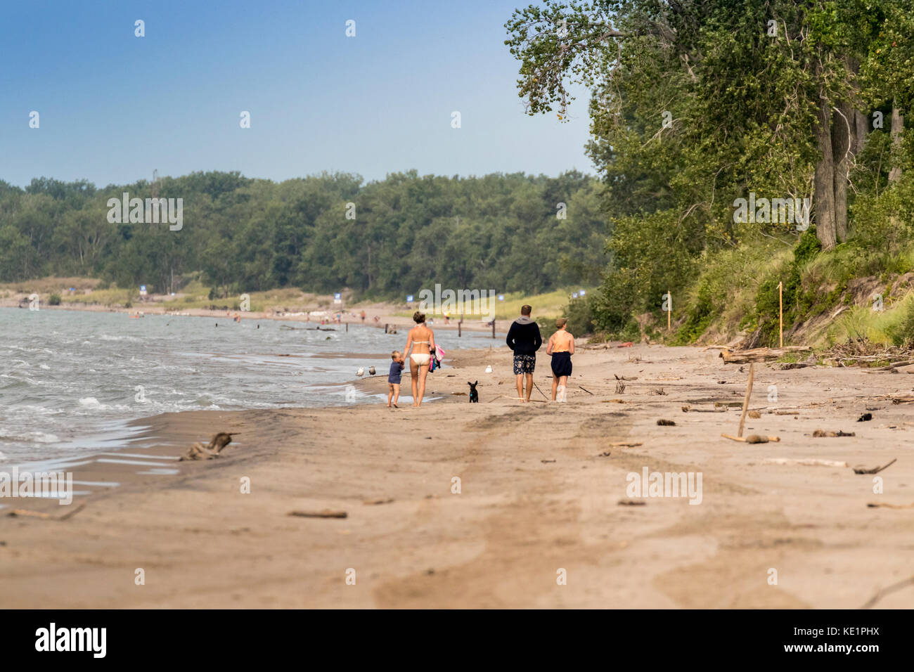 Are Dogs Allowed At Long Point Provincial Park