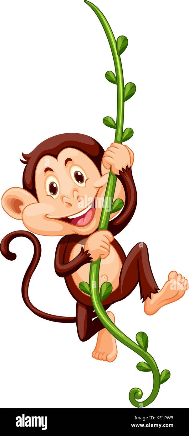 Monkey climbing up the vine illustration Stock Vector Image & Art - Alamy
