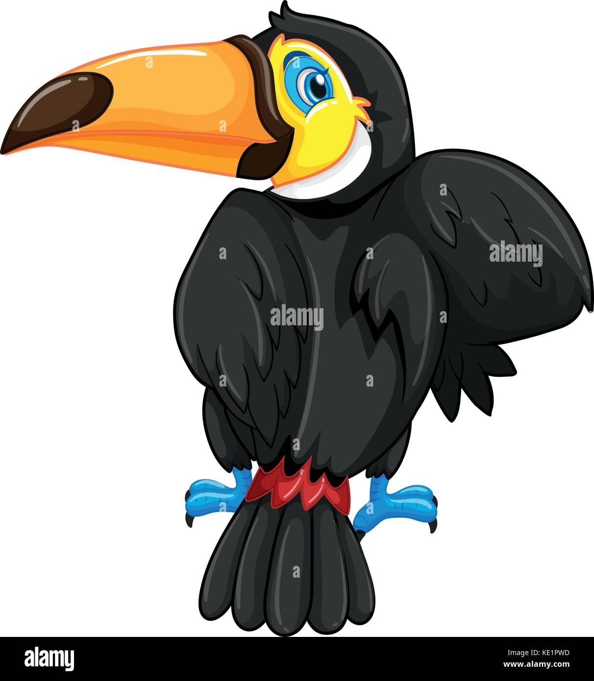 Back of toucan bird illustration Stock Vector Image & Art - Alamy