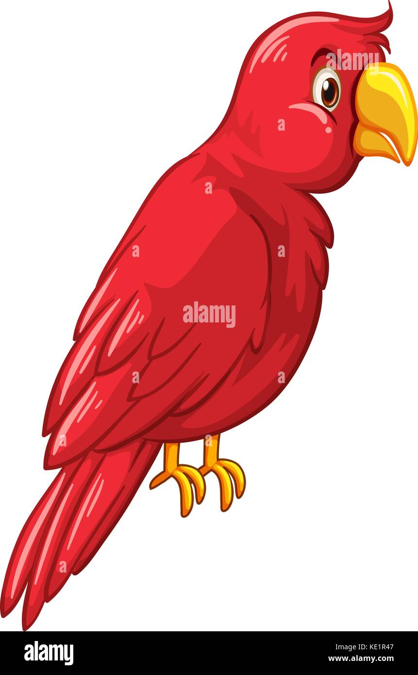 Red bird on white Stock Vector Images - Alamy