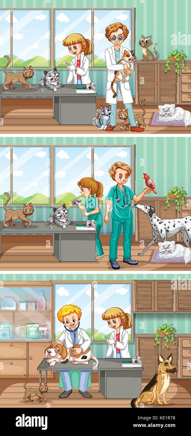 Working in an animal hospital Stock Vector Images - Alamy