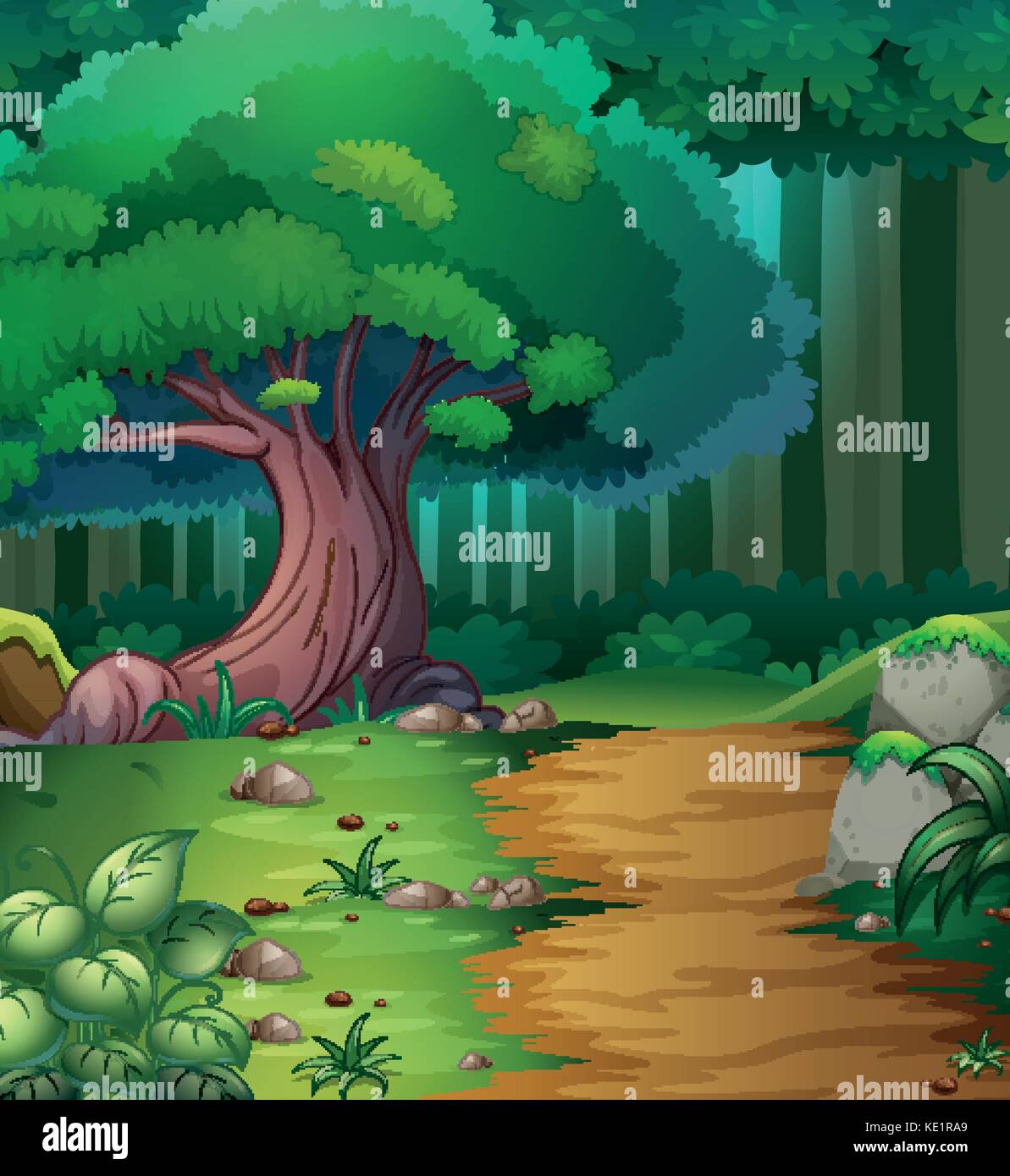 Forest scene with hiking track illustration Stock Vector Image & Art ...