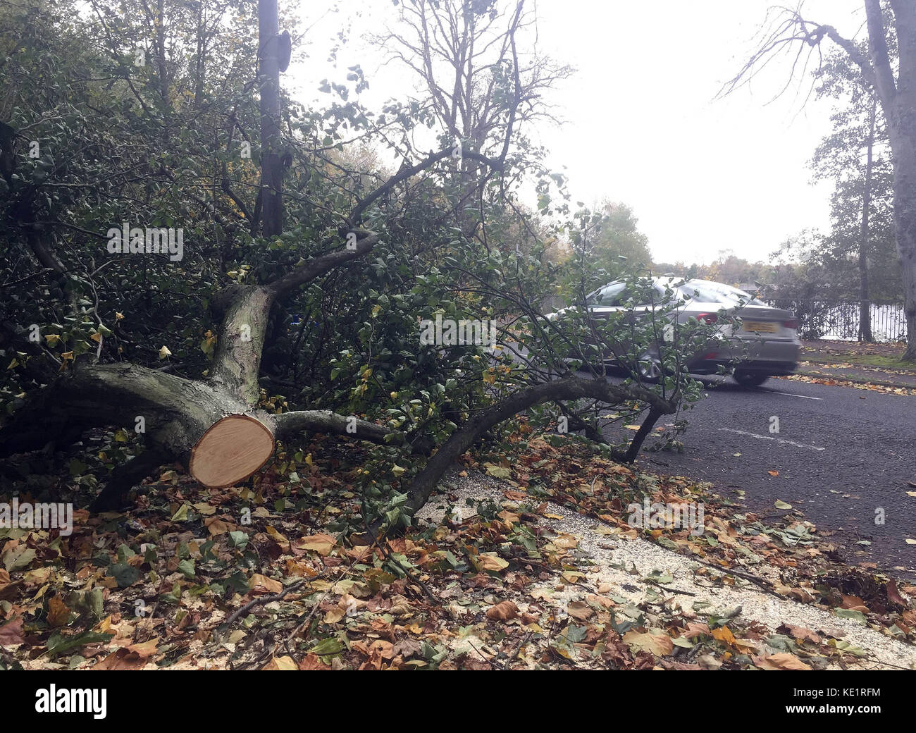 Storm damage in Belfast, after Hurricane Ophelia battered the UK and ...