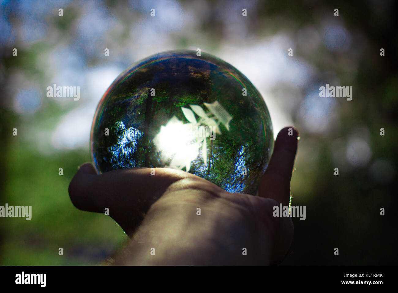hand holding crystal ball with yellow trees and the sun on the ...