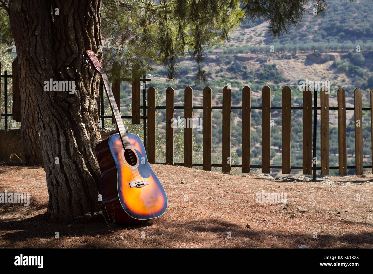 guitar on a tree shade at a forest autumn scenery noon Stock Photo - Alamy