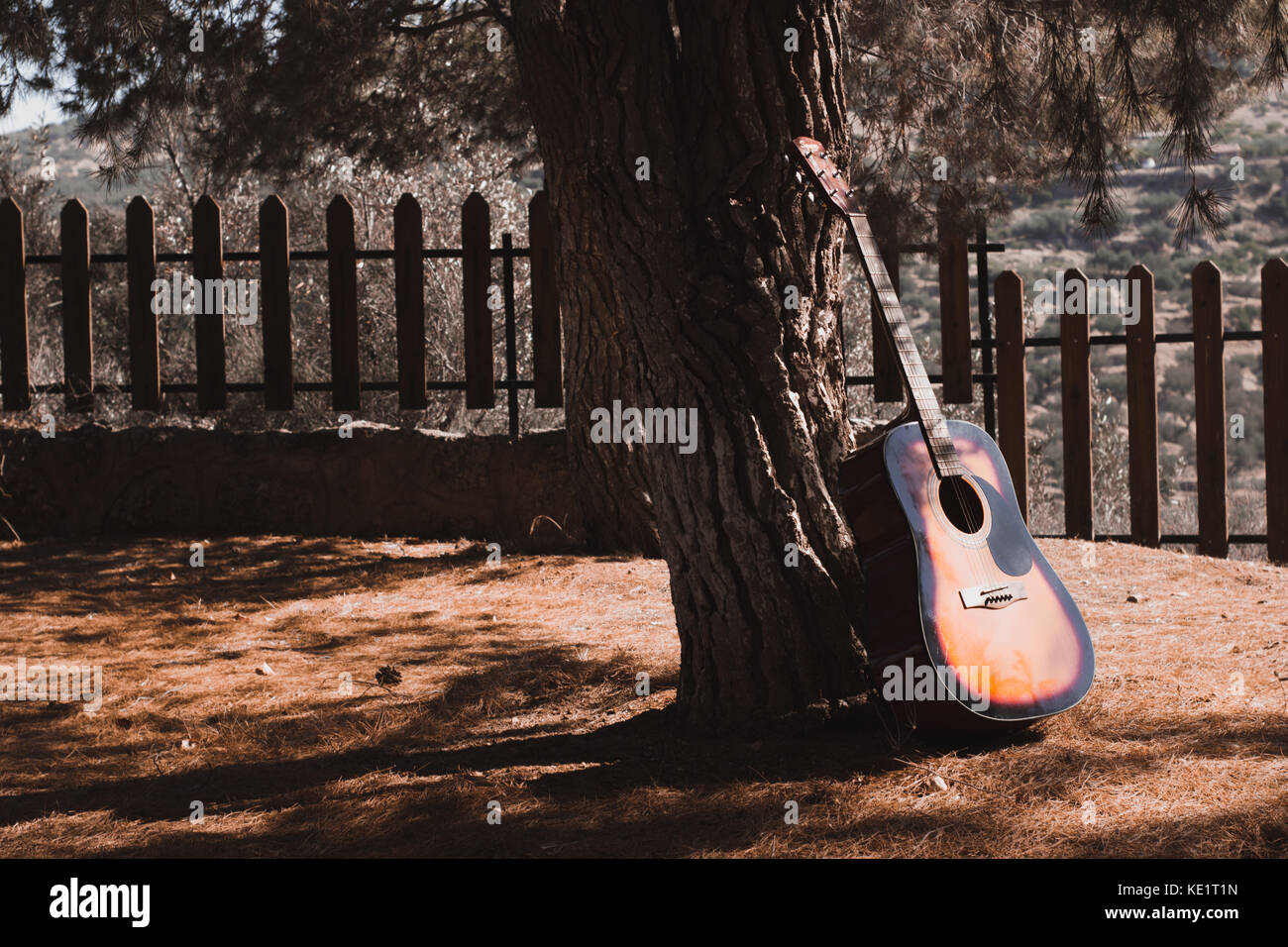 guitar on a tree shade at a forest autumn scenery noon Stock Photo - Alamy