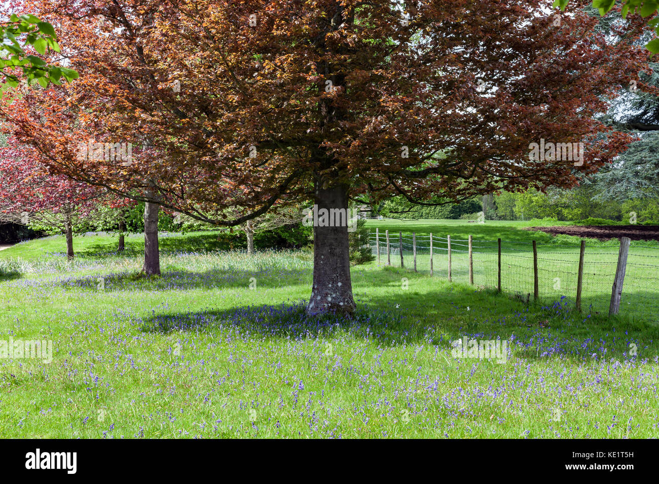 Scotney Castle is an English country house with formal gardens south ...