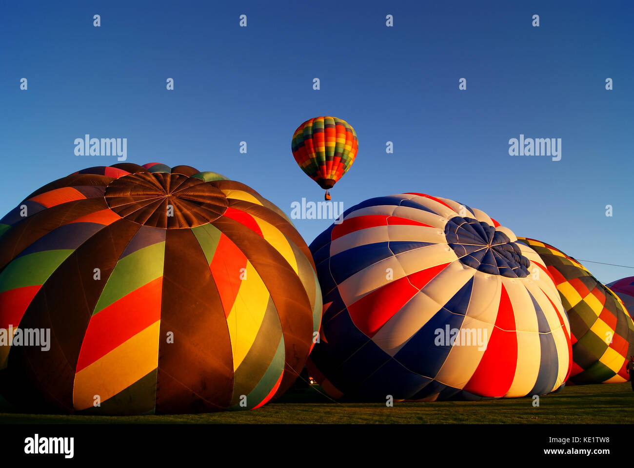 Hot Air Balloon Lifting Off Stock Photo - Alamy