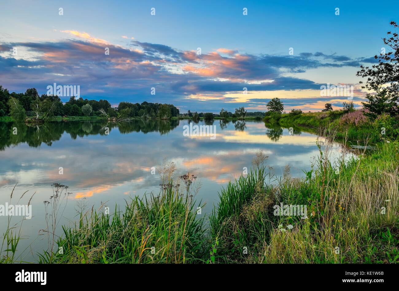 Beautiful summer landscape. Pond in the countryside in fabulous evening ...